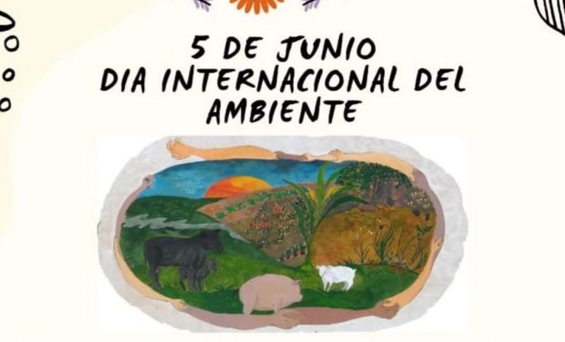 5 De Junio Dia Mundial Del Medio Ambiente Municipalidad De Rauch
